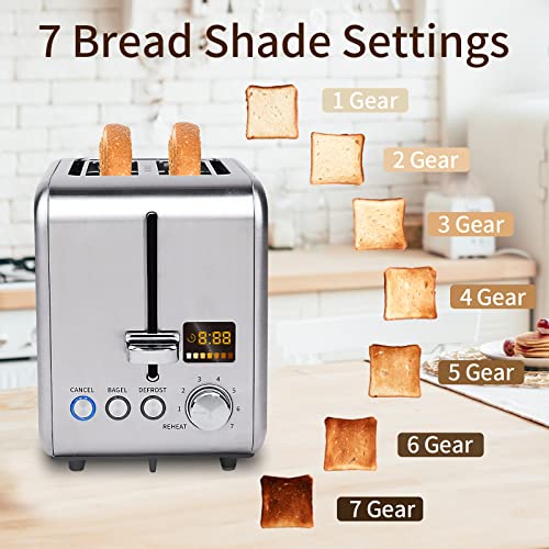 SEEDEEM Toaster 2 Slice, Stainless Steel Bread Toaster with Colorful L ...